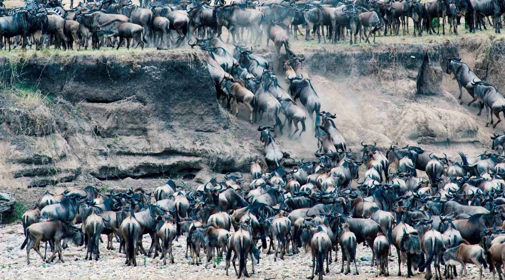 Steps 2 Africa – Best Tanzania Tours and Safaris · Secret Serengeti ...